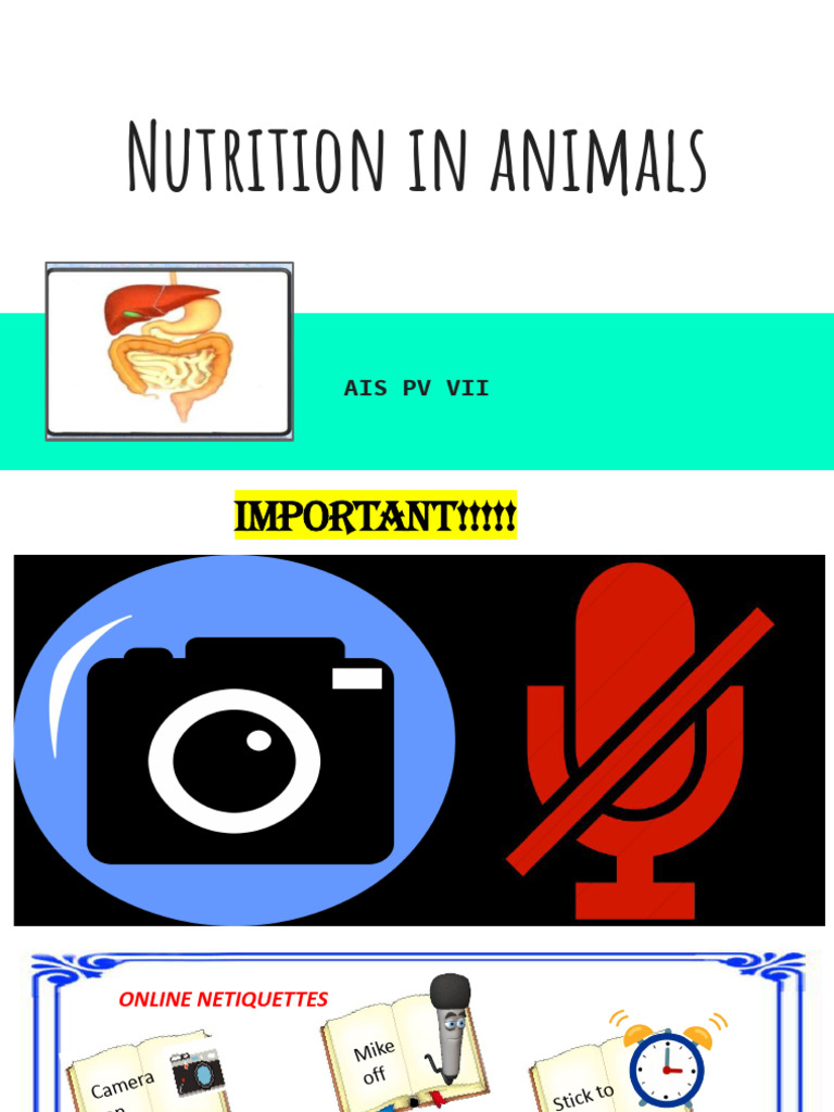 Nutrition in Animals Part-5 | PDF | Digestion | Foods