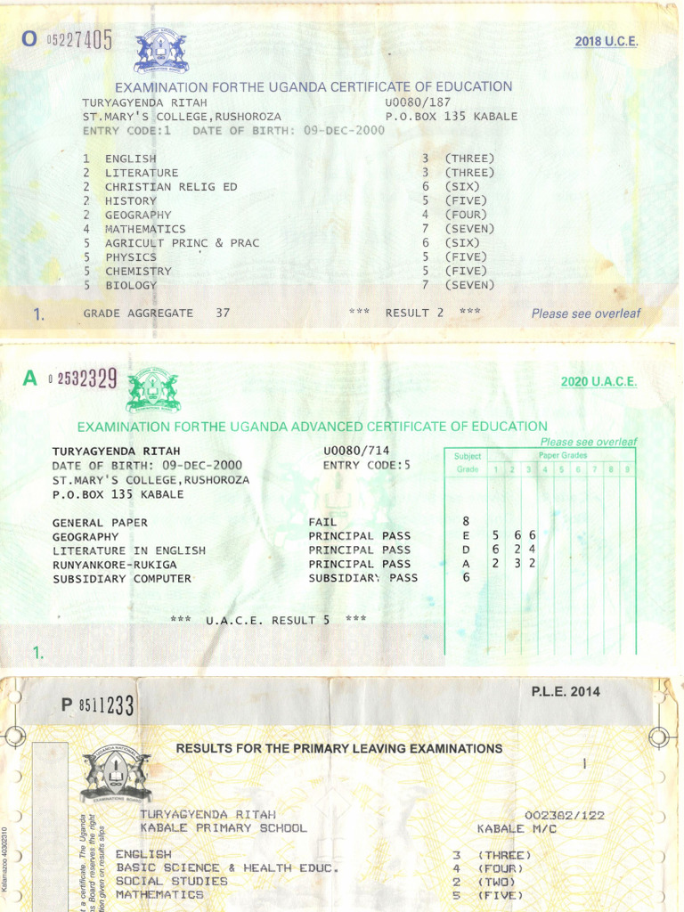 Ritah Academic Documents | PDF