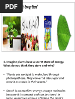 Starch Test Experiment for Leaves | PDF