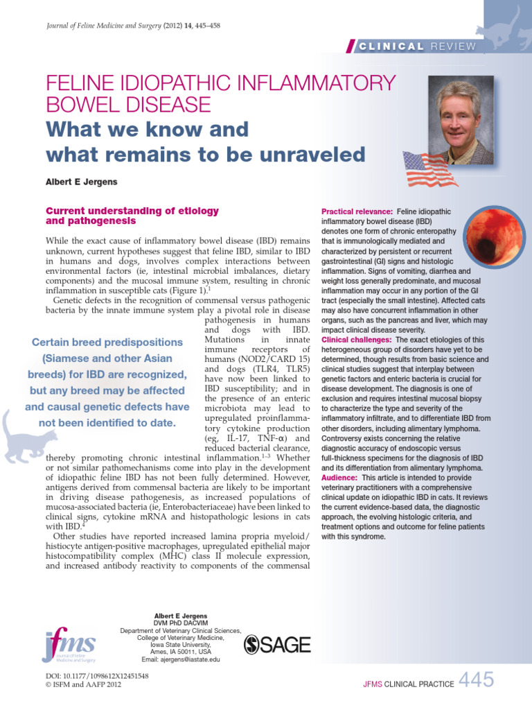 Feline Idiopatic Inflam Diesease | PDF | Inflammatory Bowel Disease ...