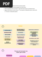 Formación de la Notocorda | PDF