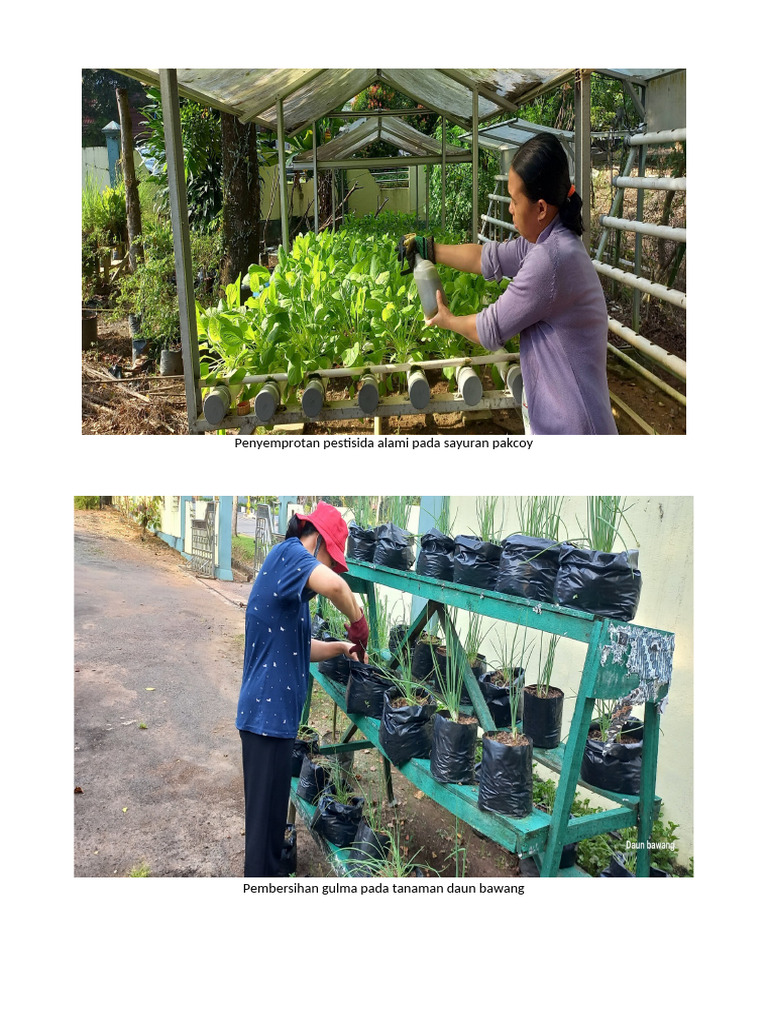 Kebun.jan April 2025.Okey | PDF