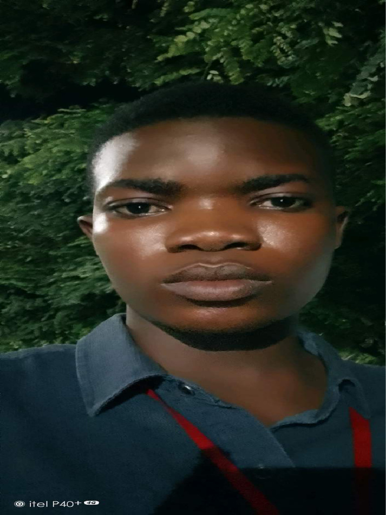 Enigold Compressed | PDF