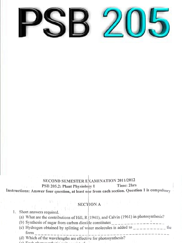 PSB 205 Past Questions | PDF
