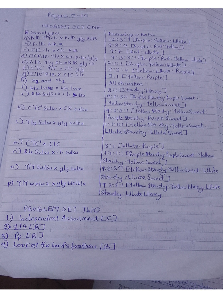 FSB 202.2 Workbook Solutions (Part 2) Doc Mikey. | PDF