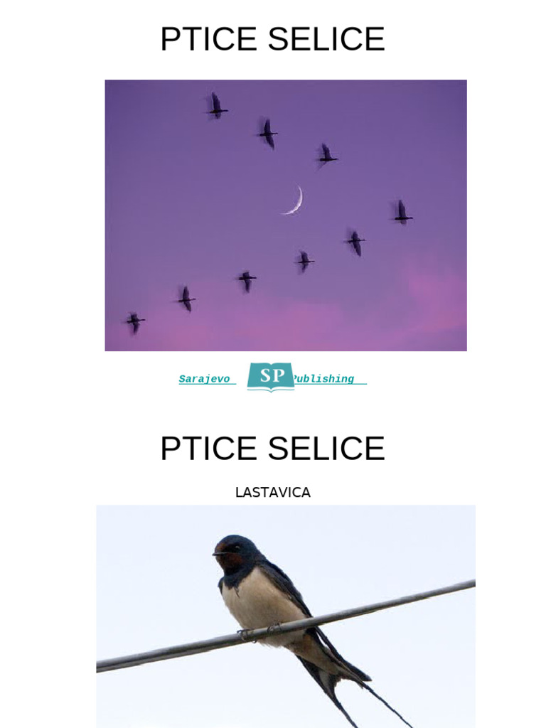 Ptice Selice | PDF