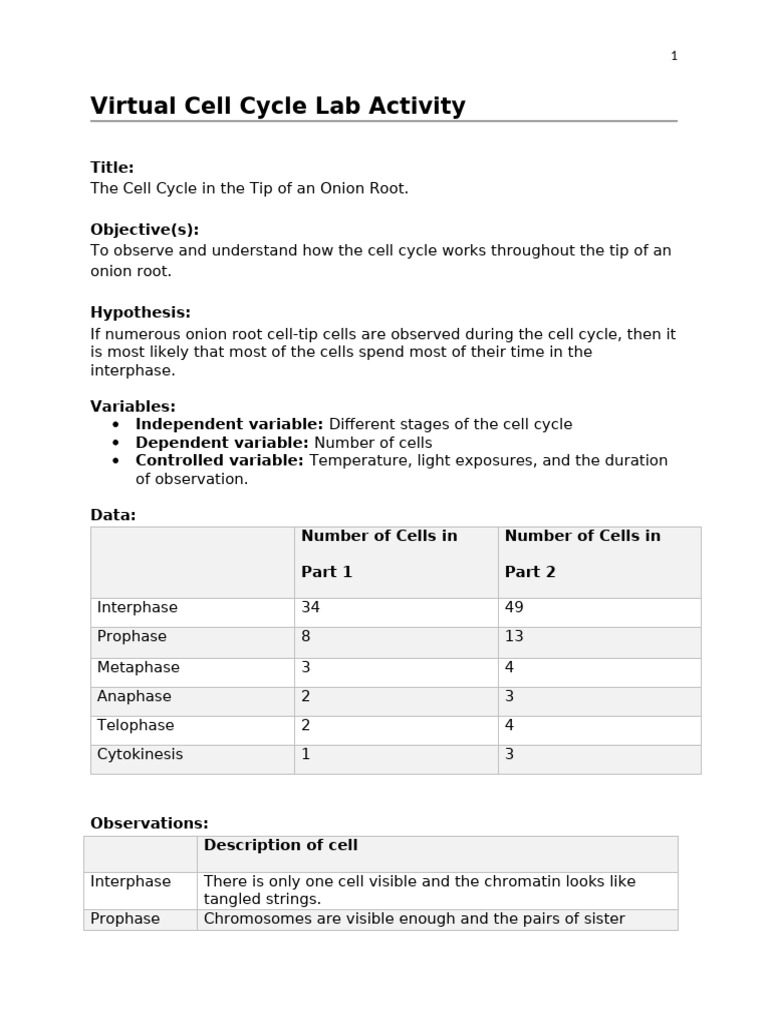 03.01 Virtual Cell Cycle | PDF | Cell Cycle | Mitosis
