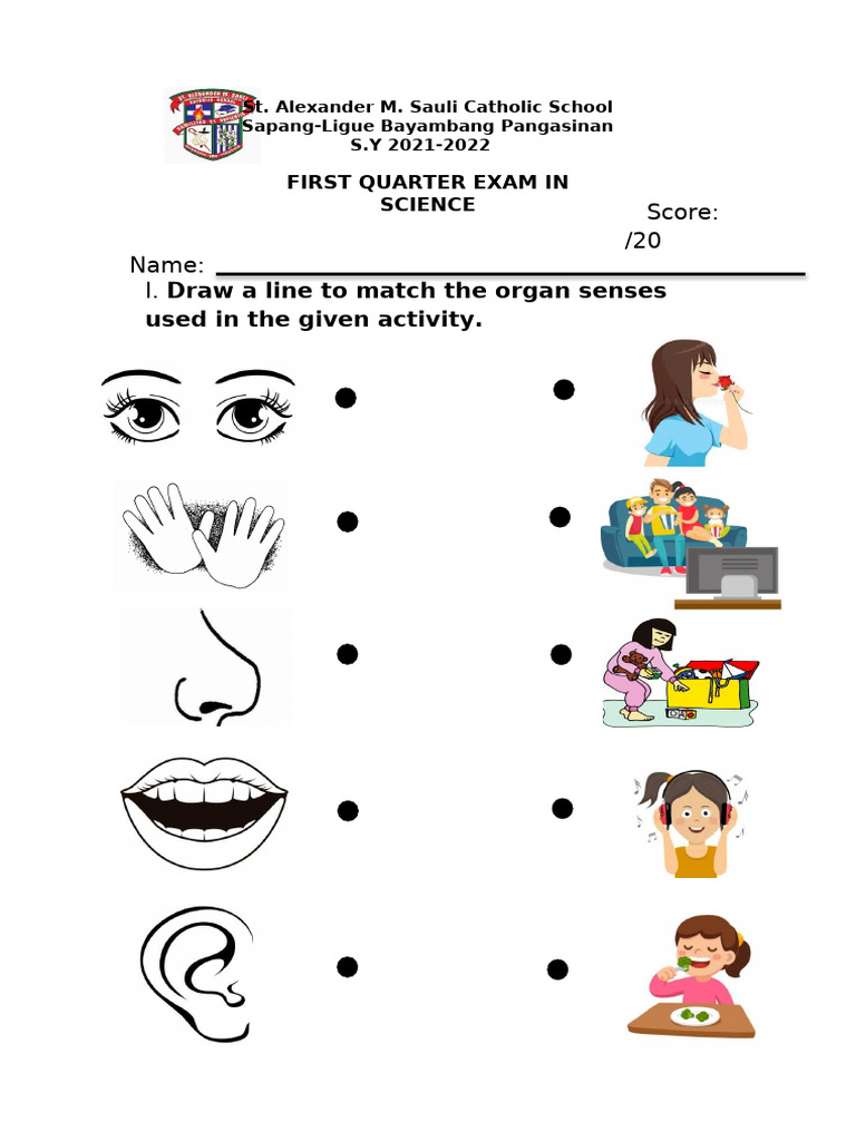 1st Quarter Exam Science N1 | PDF