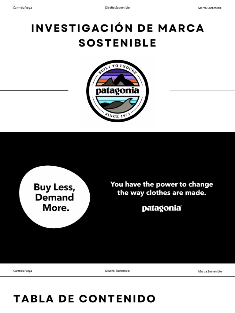 Patagonia: Compromiso con la Sostenibilidad | PDF | Sustentabilidad ...