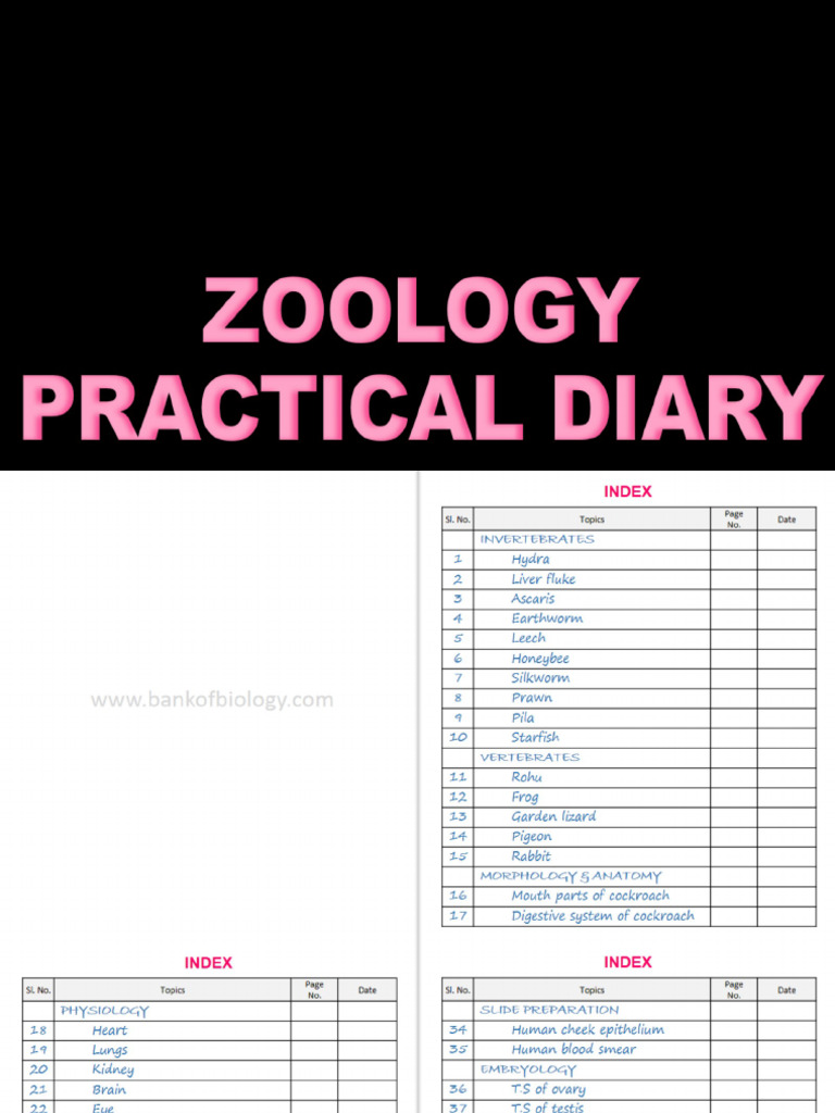 Zoology | PDF