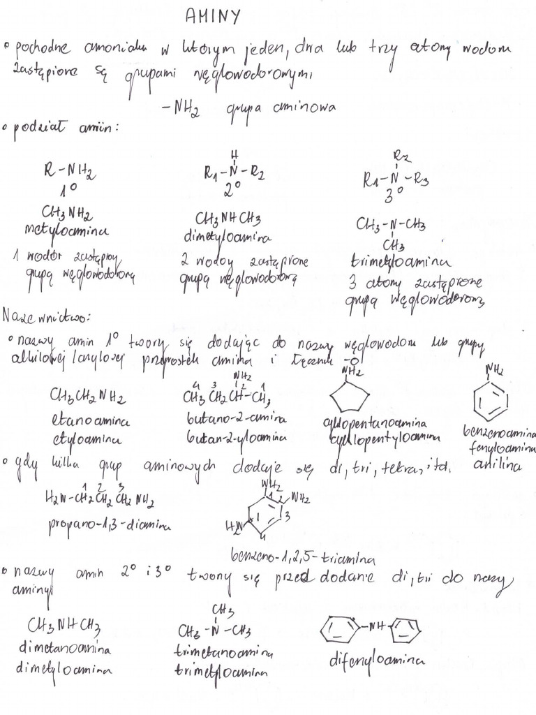 Aminy I Amidy - Notatki | PDF
