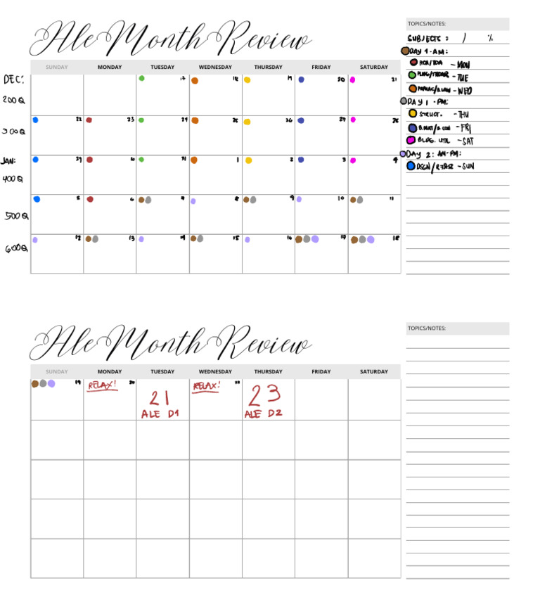 Ale 1 Month Review | PDF