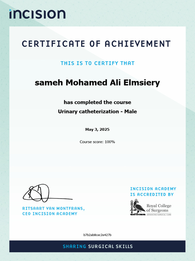 Urinary Catheterization Male B7b2ab8cec2e427b | PDF