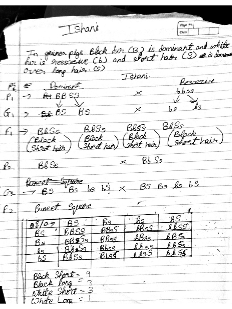 Ishani Dihybrid Cross | PDF