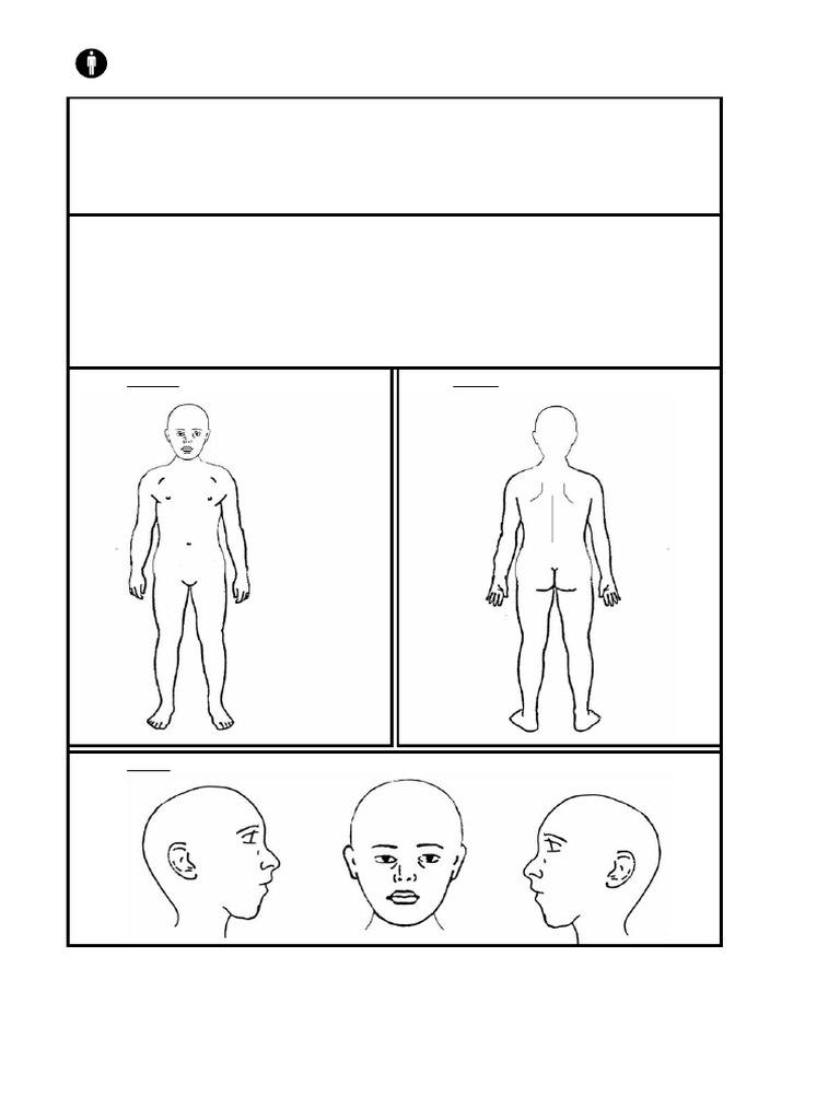 Body Injury Recording Diagram | PDF