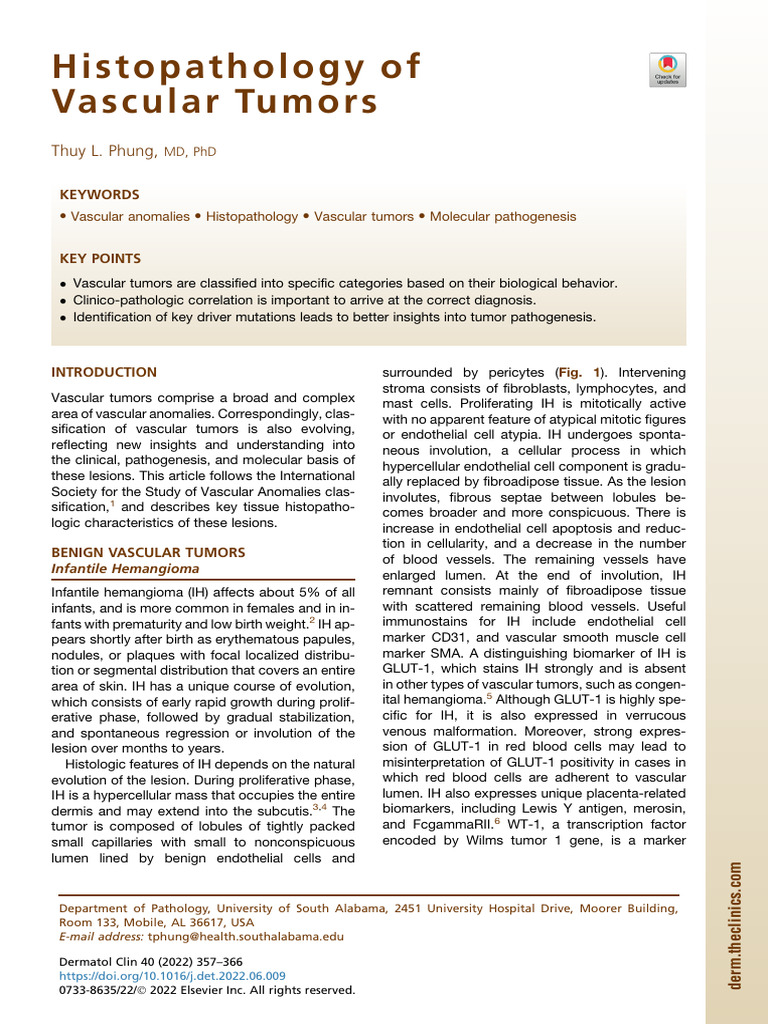 Artículo Tumores Vasculares TOP | PDF | Medical Specialties | Anatomy