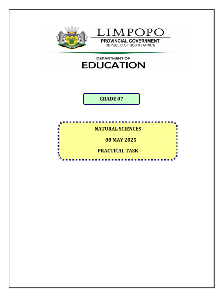2025 Term 2 Grade 7 Ns Prac Task | PDF | Filtration | Materials