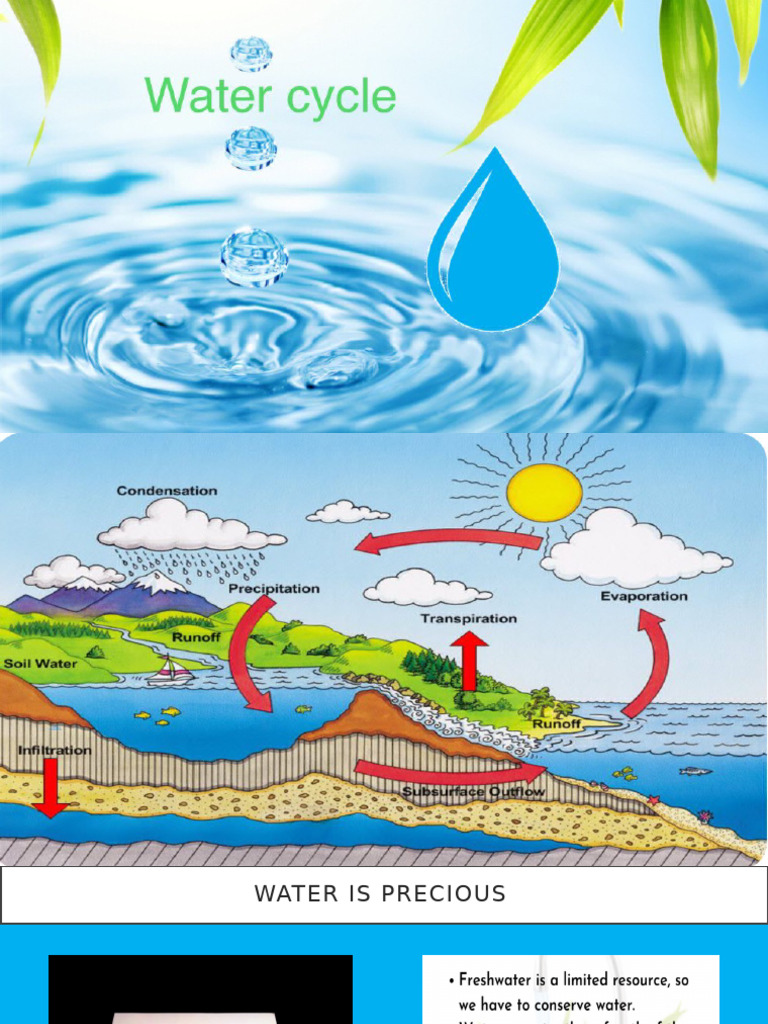 Water Cycle | PDF