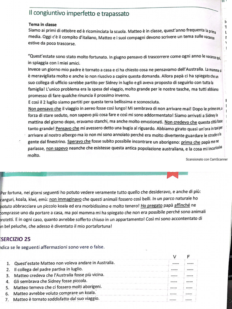 Lettura Congiuntivo Imperfetto e Trapassato | PDF