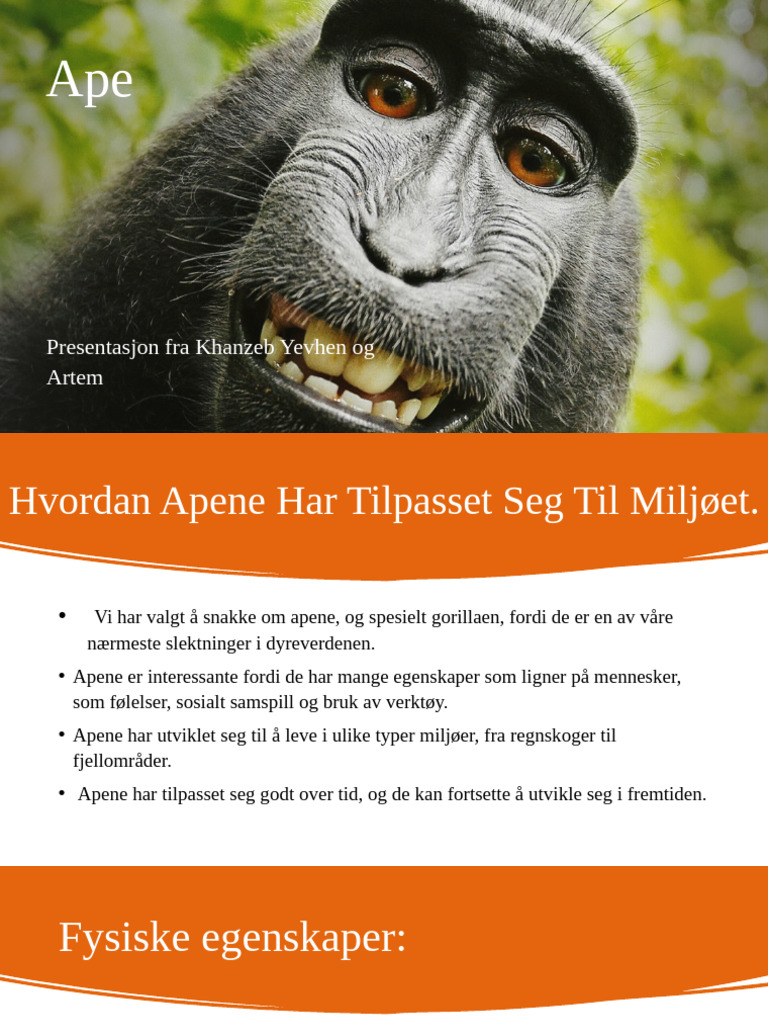 Naturfag presentasjon | PDF