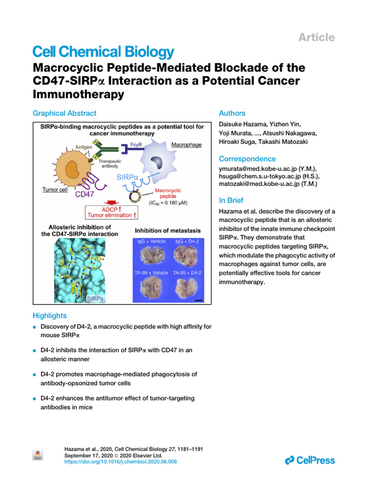 Macrocyclic Peptide Inhibits CD47-SIRPa | PDF | Enzyme Inhibitor | Cell ...