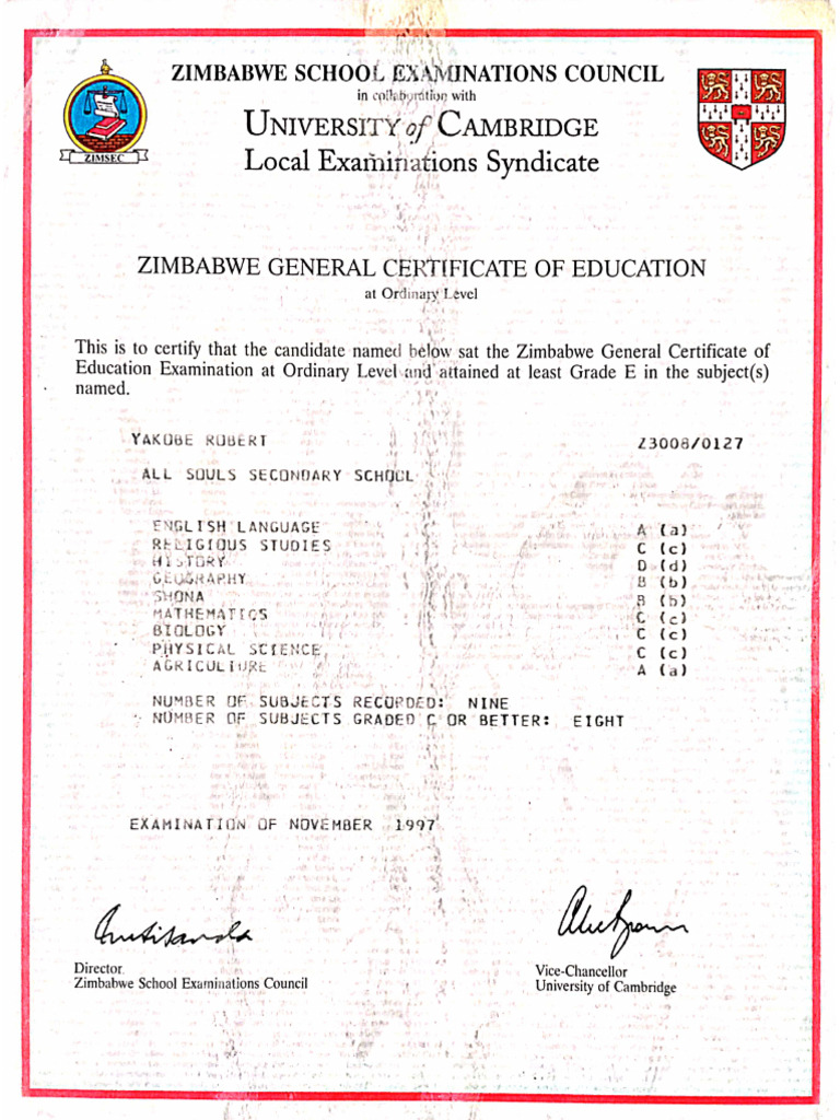 Zimbabwe General Certificate of Education (Ordinary Level) | PDF