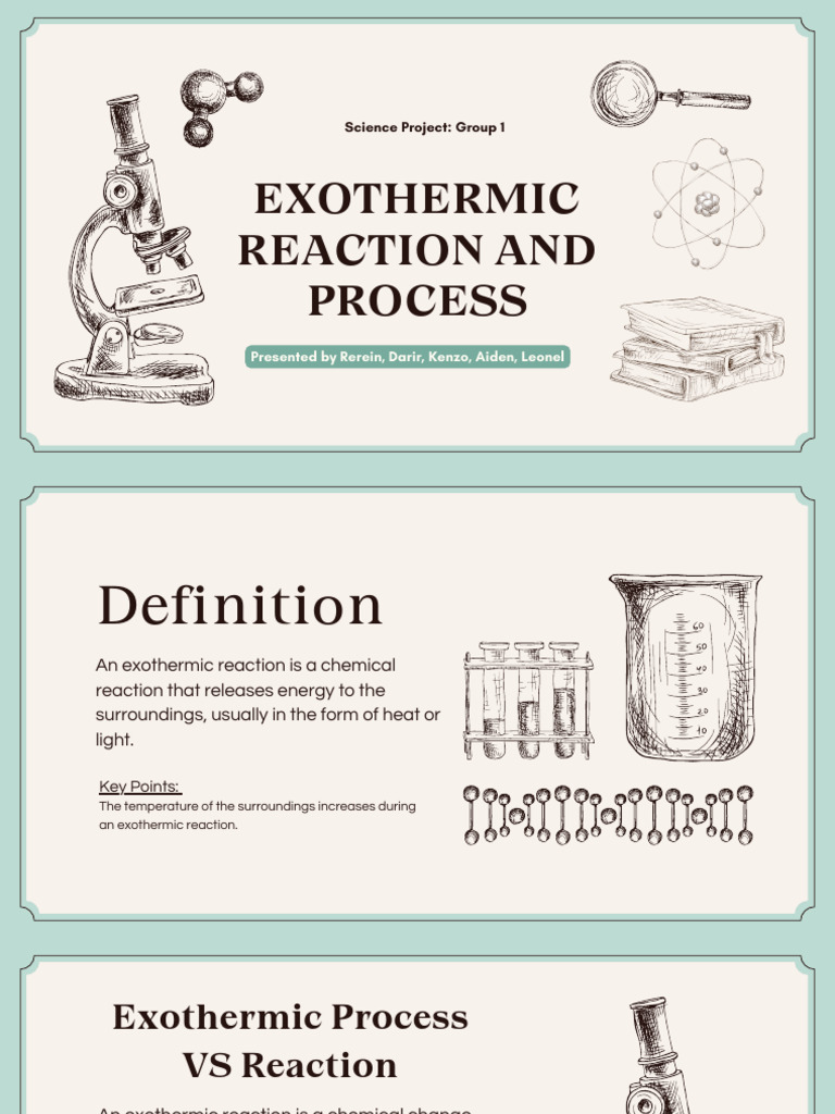 Exothermic Reaction and Process | PDF