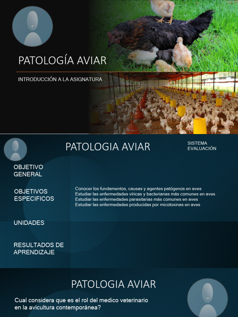 Aviar | PDF | Avicultura | Aves