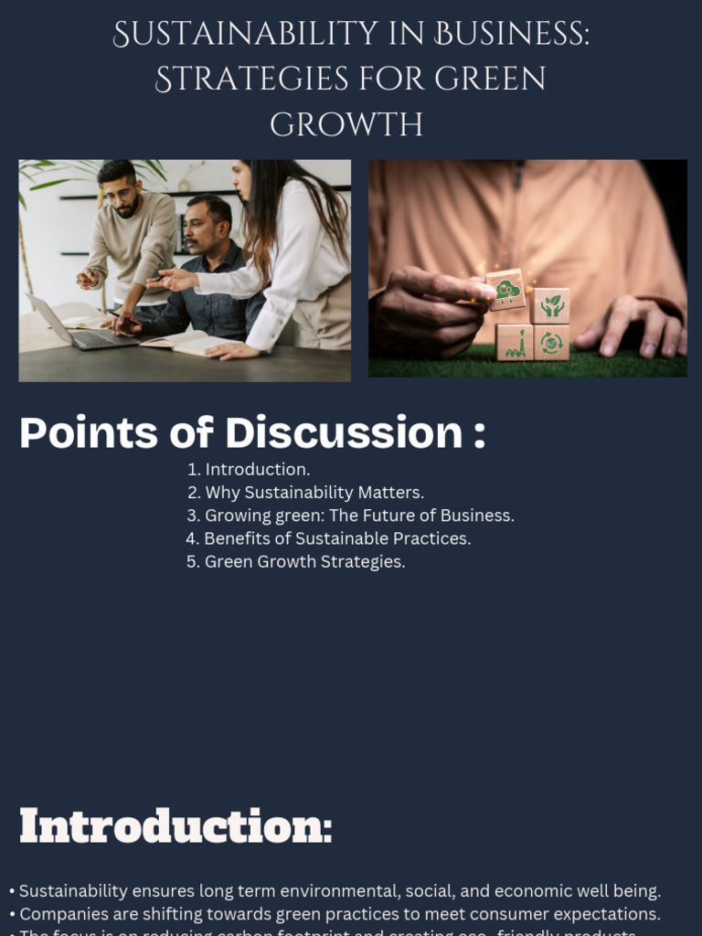 Business Sustainability Strategies Guide | PDF | Sustainability | Green ...