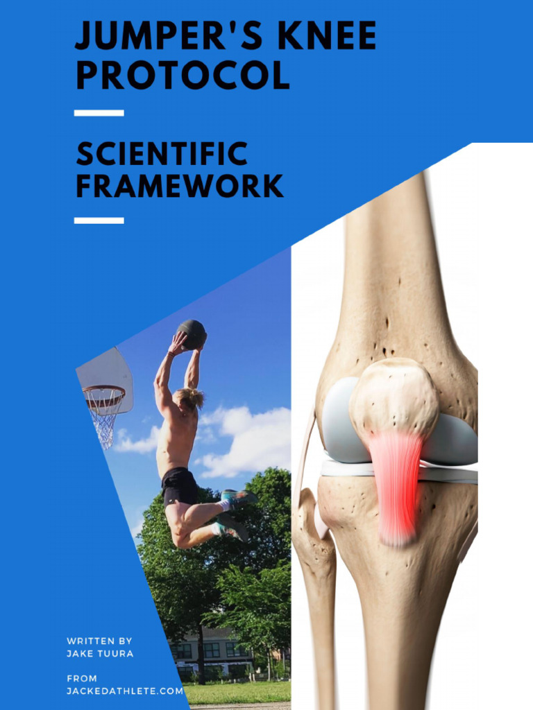 Jumper's Knee Protocol Scientific Framework | PDF | Tendon | Knee