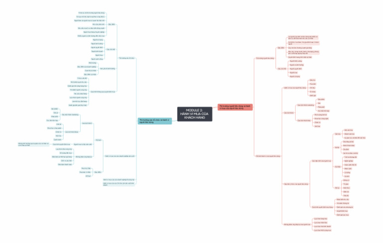 Mindmap Module 2 Hành VI Mua C A Khách Hàng | PDF