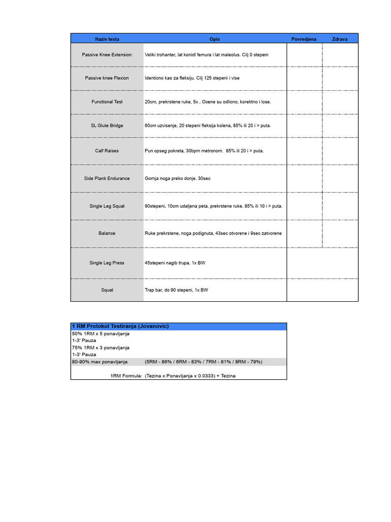 IVAN ACL - Testing Sheet-1 | PDF