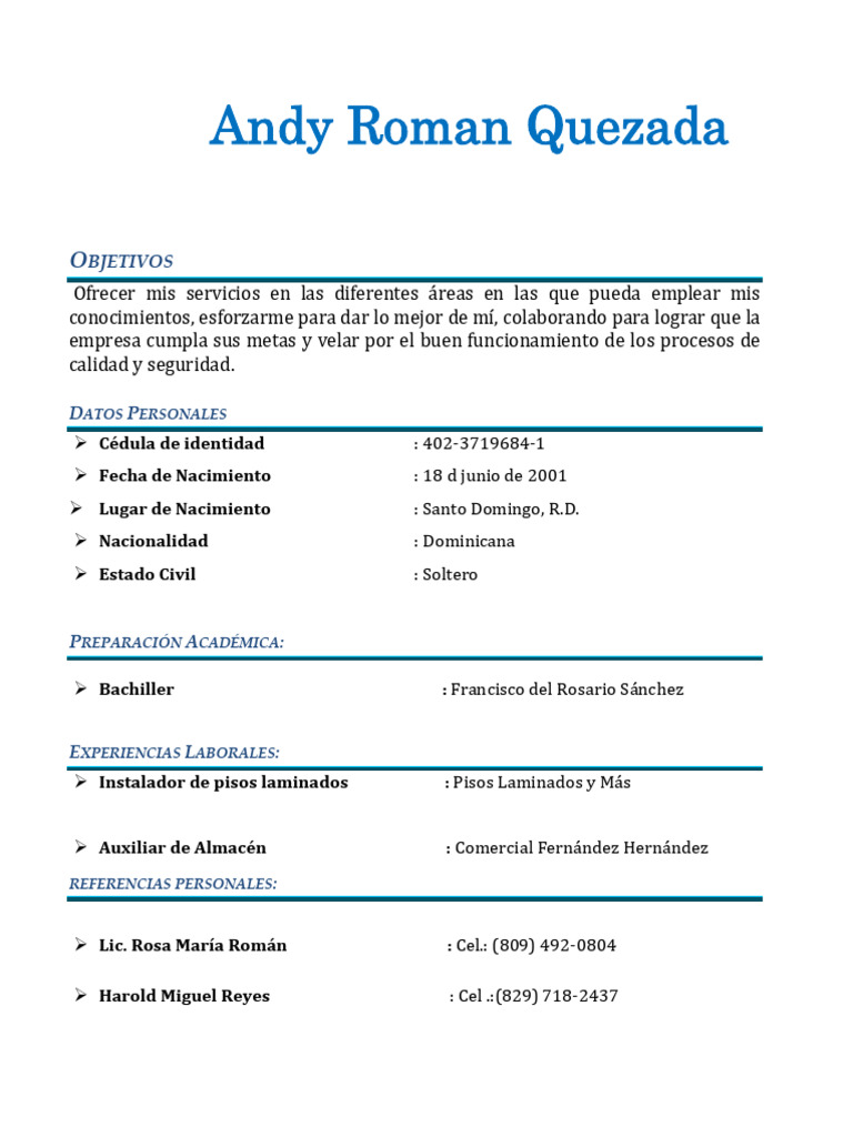 CV Andy Roman Quezada | PDF