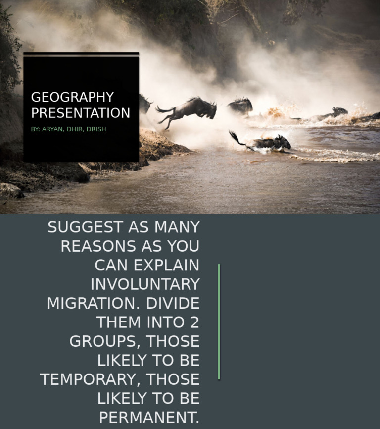 Geography Presentation On Migration | PDF