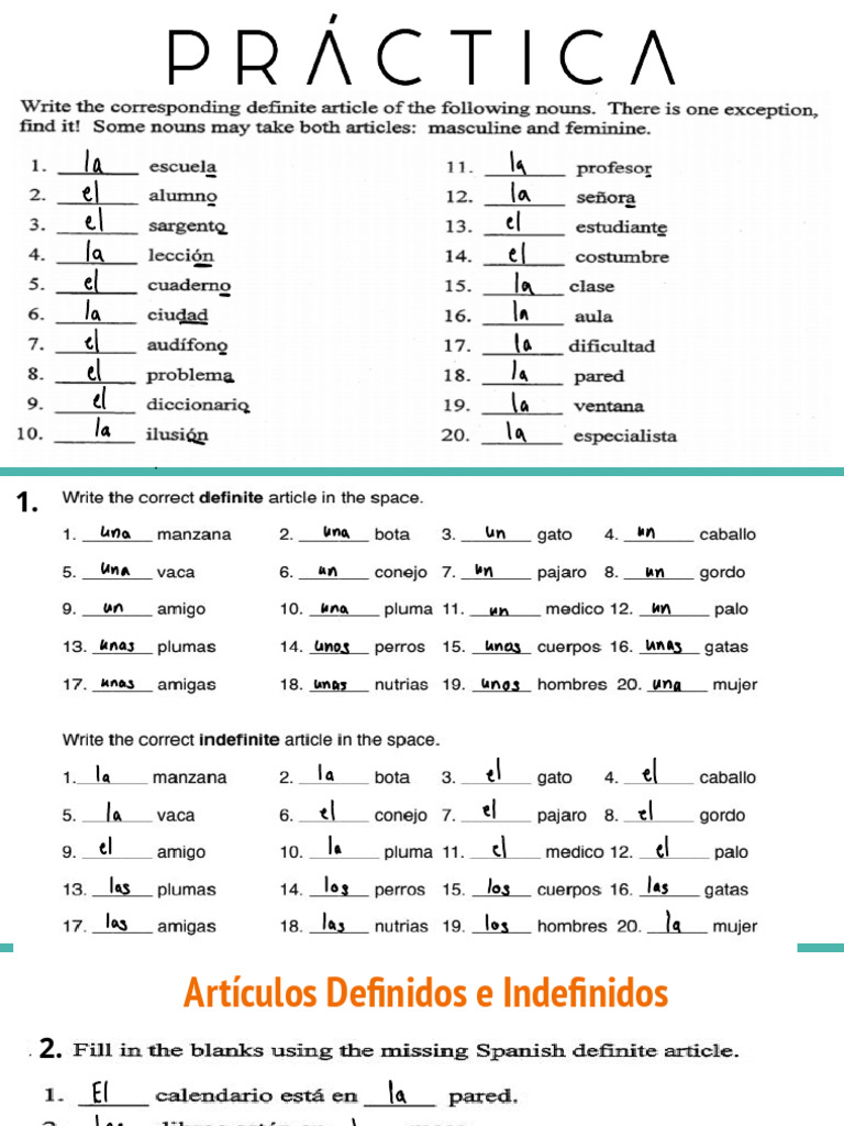 Singular To Plural - Notes and Practice | PDF