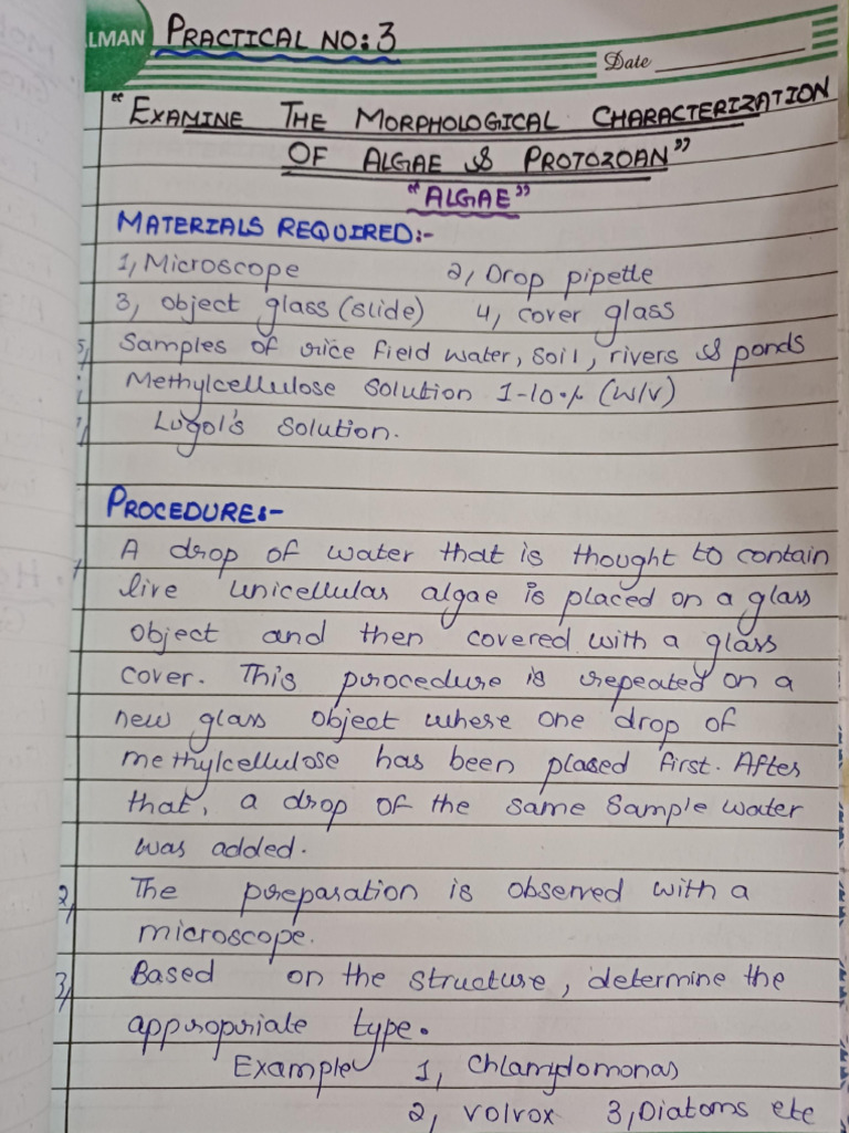 Practical No.3 (Bacteriology and Virology) | PDF