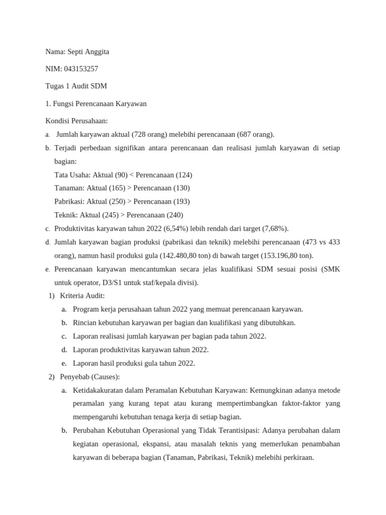 Tugas 1 Audit SDM | PDF
