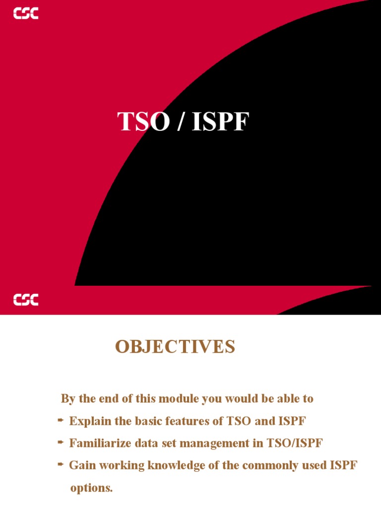 Tso Ispf | PDF | Computer Hardware | Computer Data