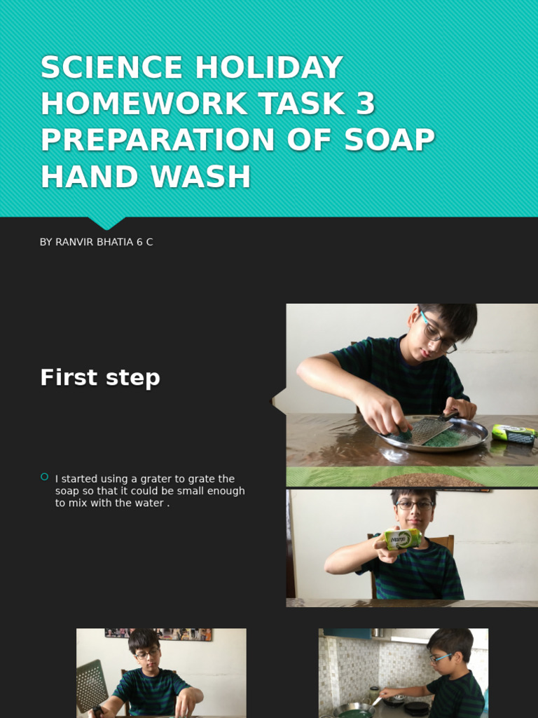 Science Holiday Homework Task 3 | PDF