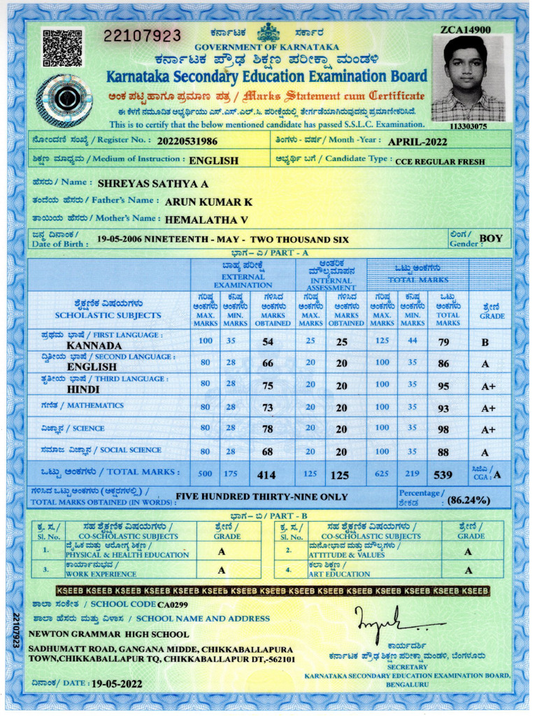 Class 10 Marks Card | PDF
