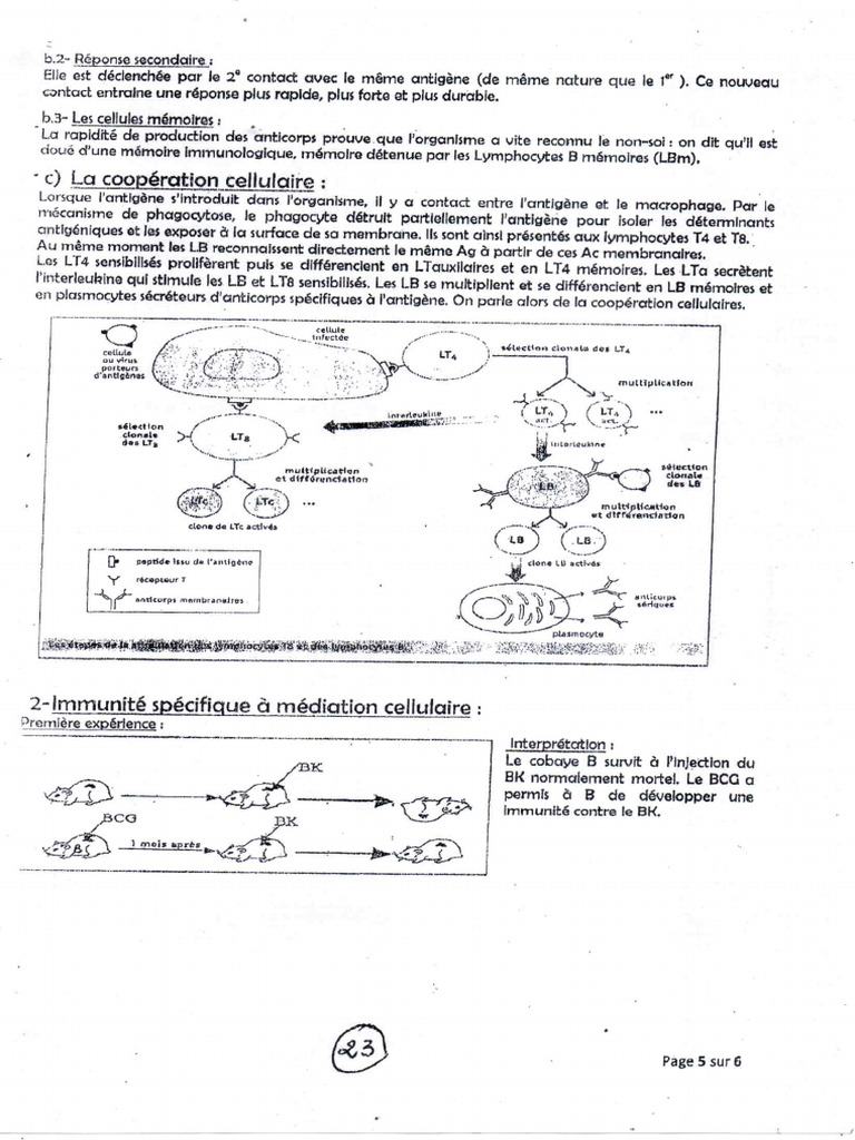 Img20250507 12495294 | PDF