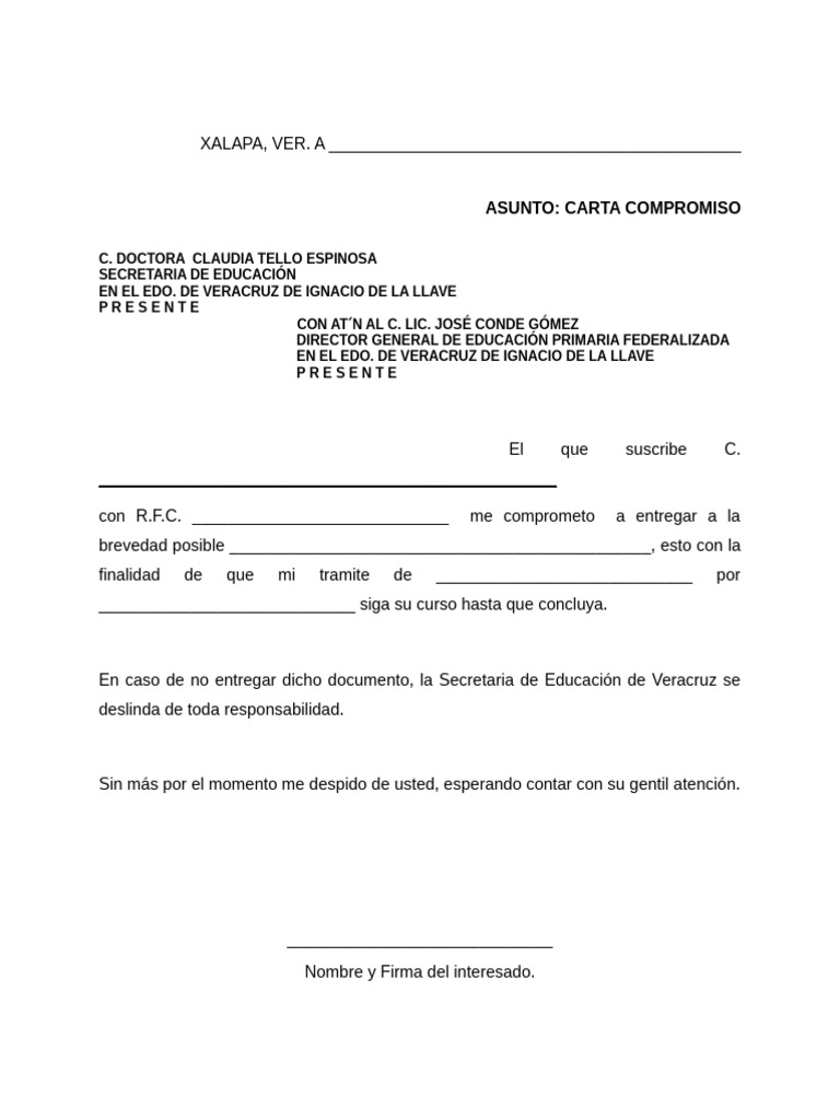 Carta Compromiso Doctos | PDF