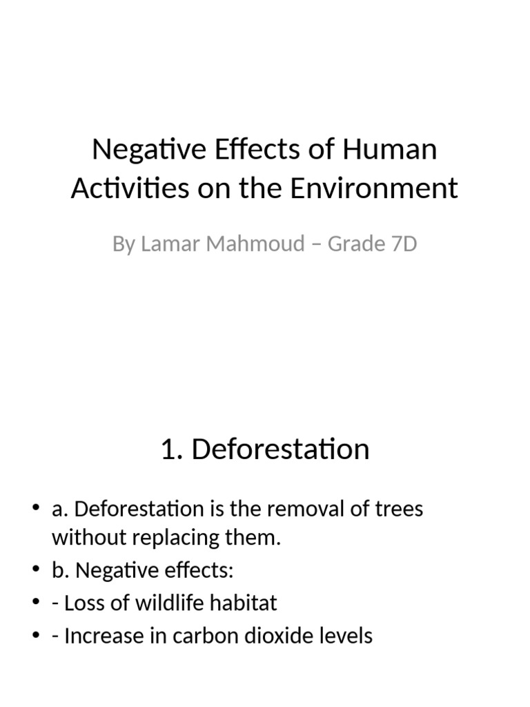 Lamar Negative Effects On Environment | PDF