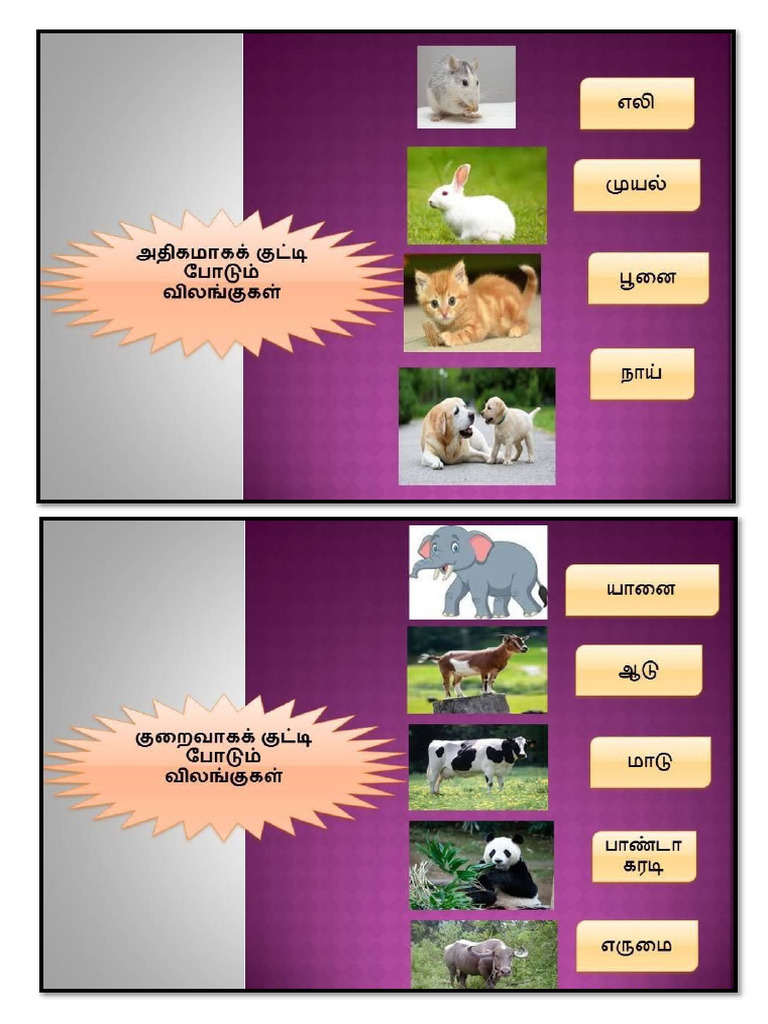 Sains BBM | PDF
