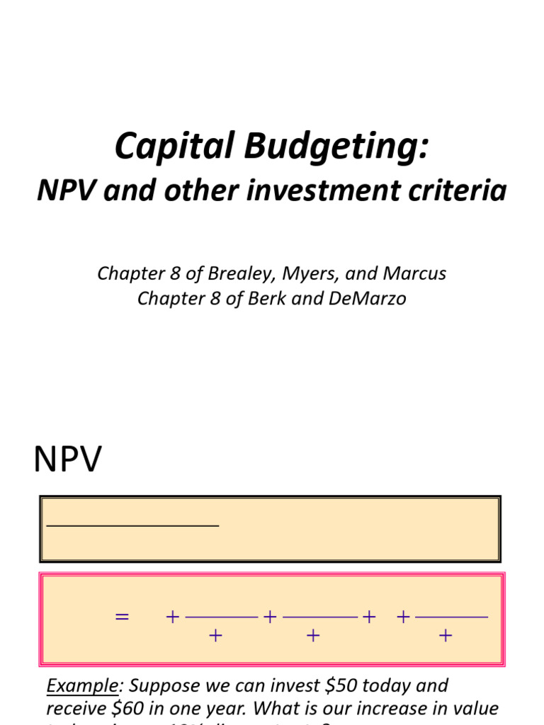 3-1 Capital Budgeting - NPV and Other Investment Criteria | PDF ...