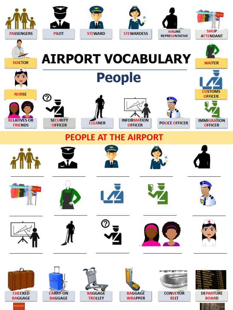 Essential Airport Vocabulary Guide | PDF | Airport | Aviation