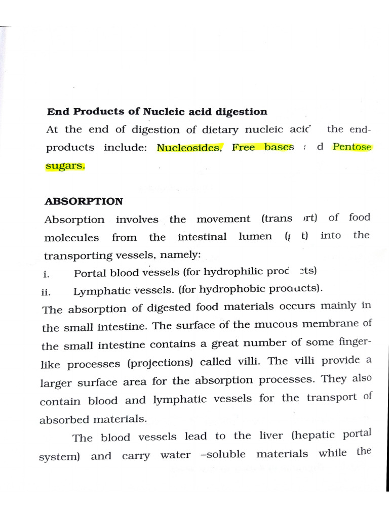 Absorption of Nutrients | PDF