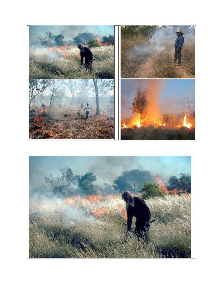 Fire Stick Farming | PDF