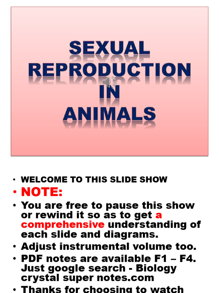 Sexual Reproduction in Animals | PDF | Menstrual Cycle | Ovary