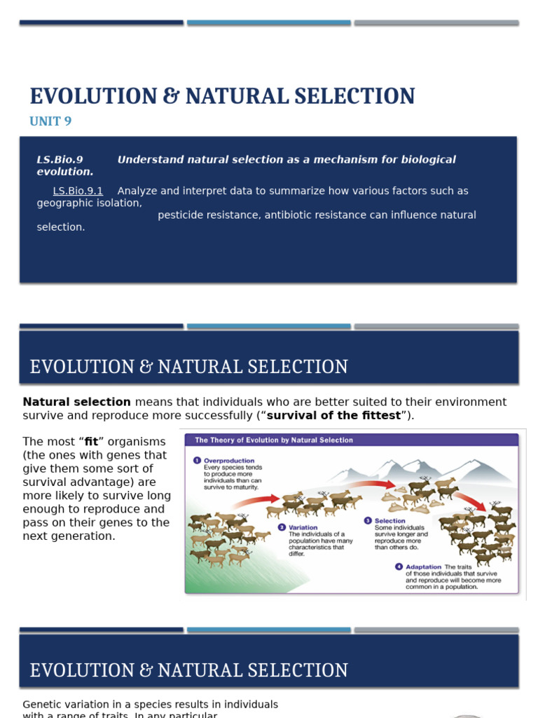 Unit 9 - Evolution & Natural Selection | PDF | Natural Selection ...